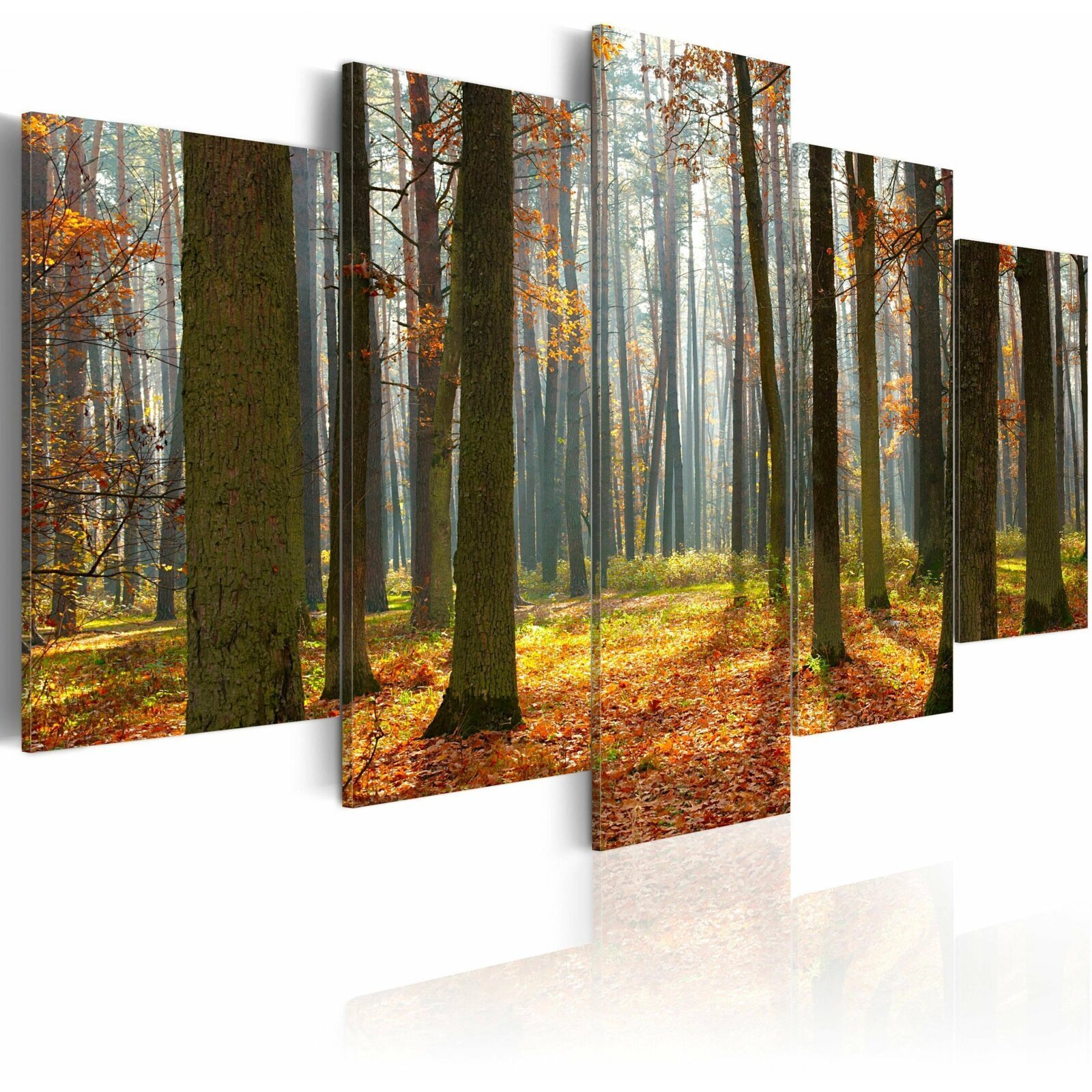 Scène Forestière Lumineuse en Automne avec Artgeist